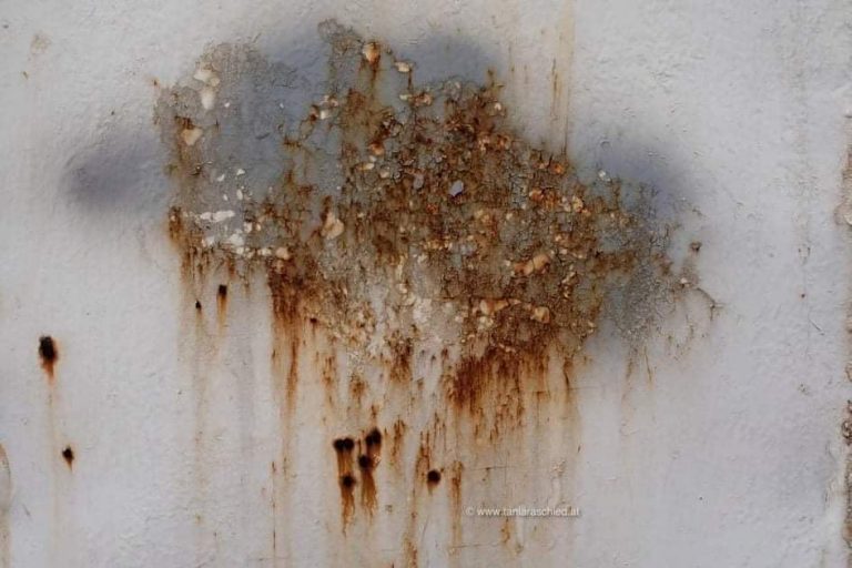 Portrait of a photographer: Tania Rashid – Culture Project for Art ...