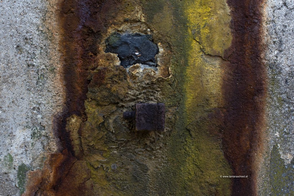 Portrait of a photographer: Tania Rashid – Culture Project for Art ...